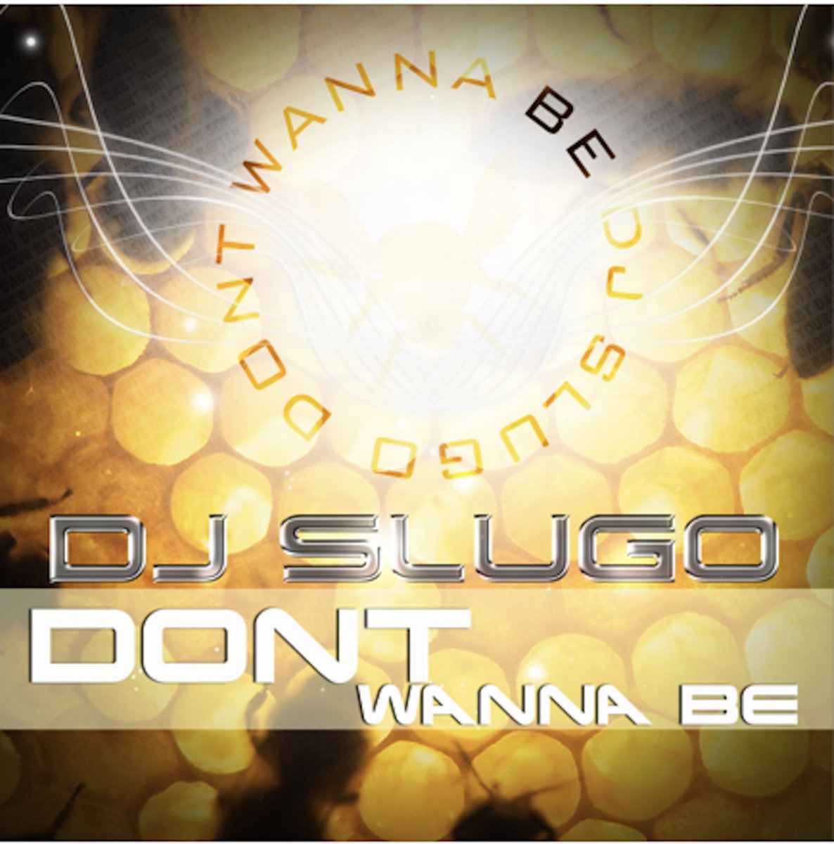 Don't Wanna Be | DJ Slugo