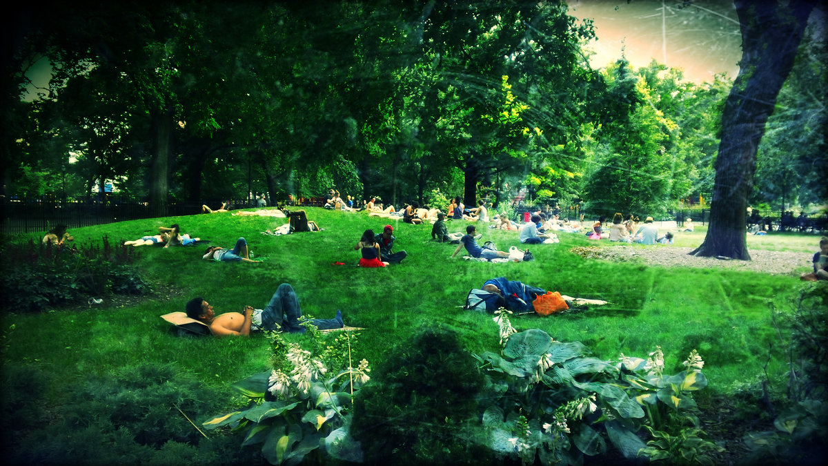 LUGG DROPS | LUGG VALE