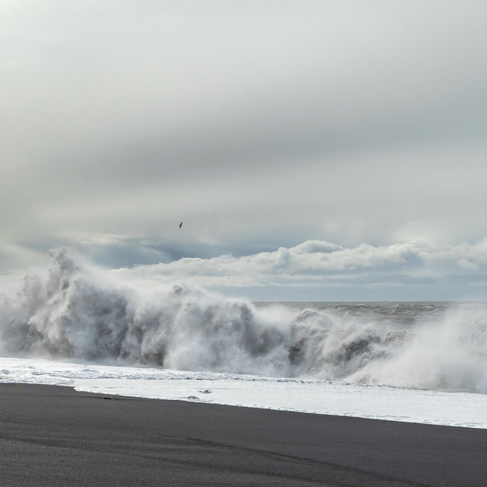The Black Sand | Warmth | ARCHIVES