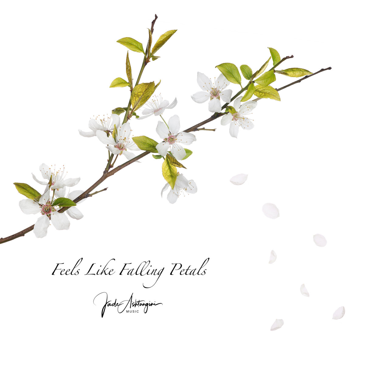 Feels Like Falling Petals | Jade Ashtangini