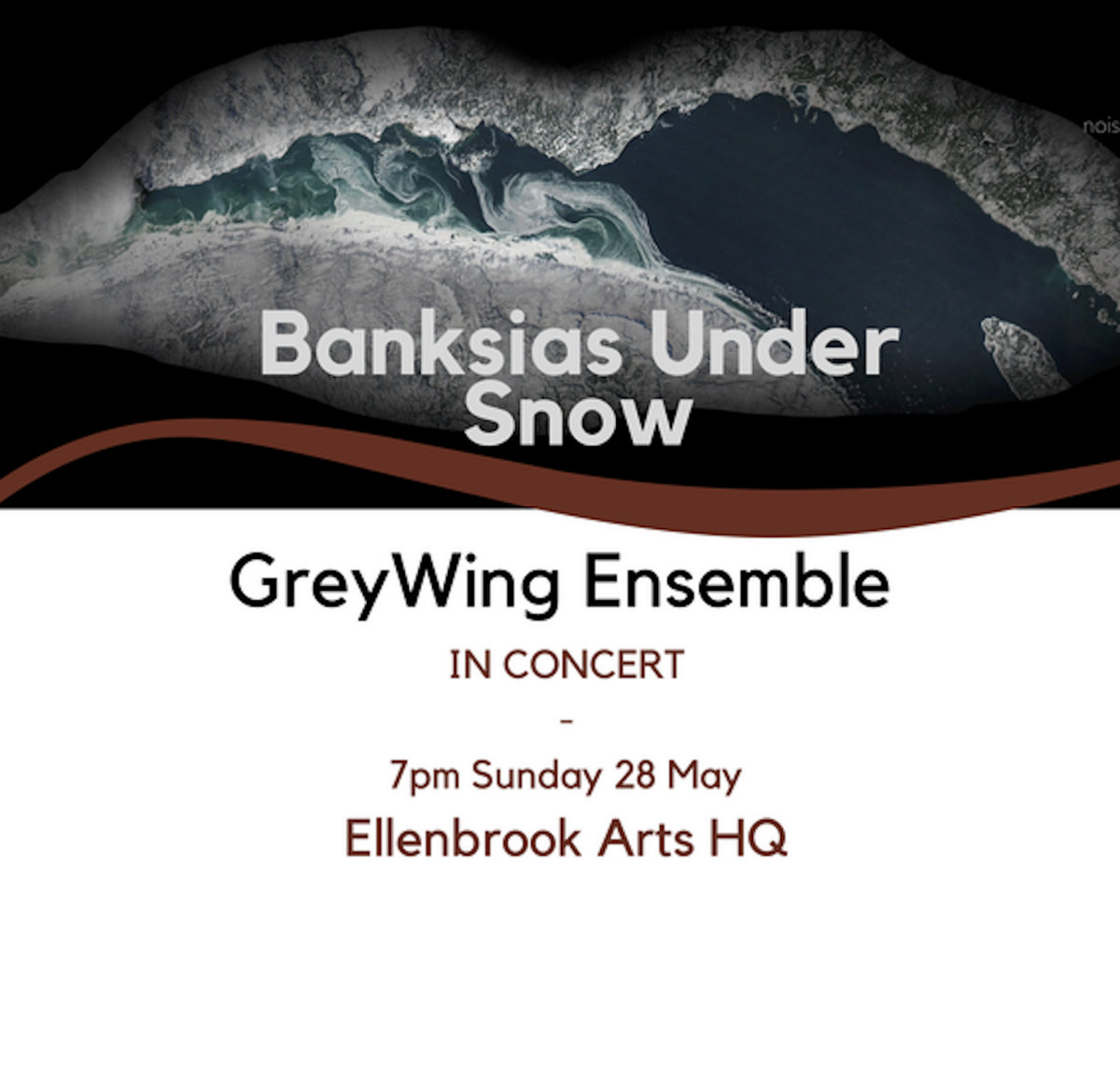 GreyWing - Banksias under Snow at Ellenbrook Arts | Lindsay Vickery