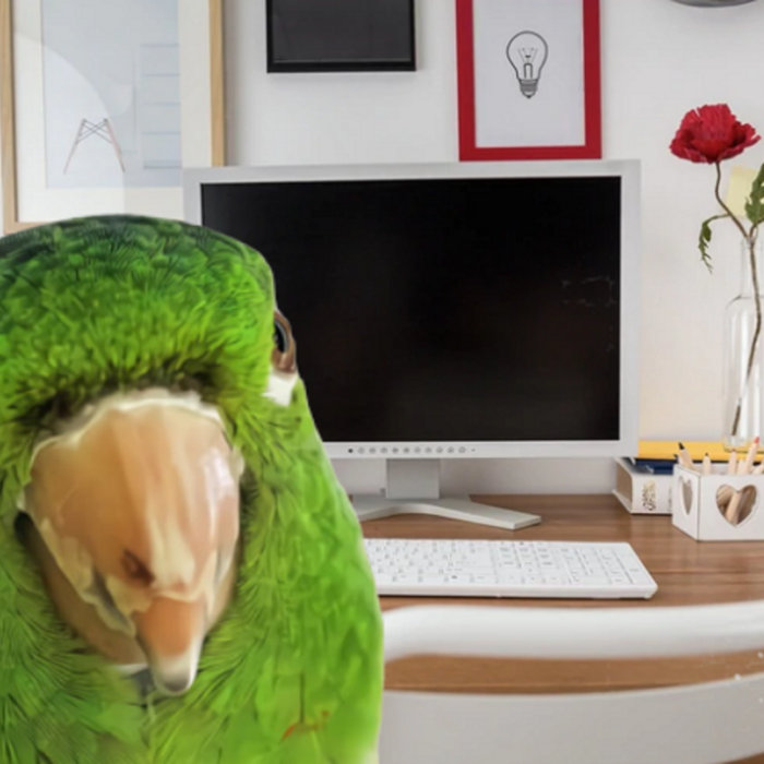 Perico Virtual - TelePerico | Perico Imperial
