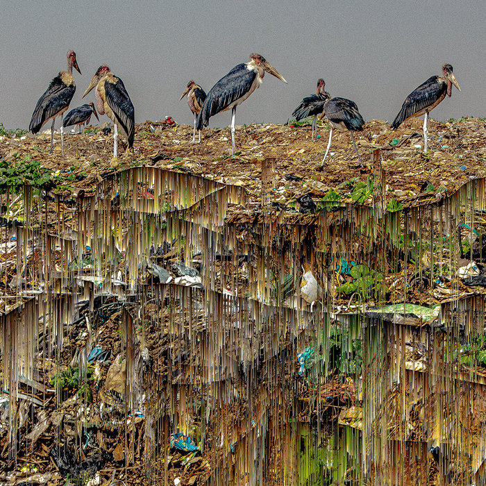 Kaloli Recycled | Nihiloxica