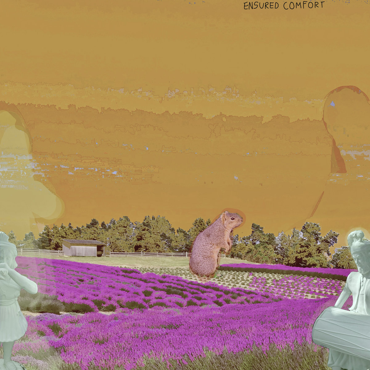 Sam Lost His Friends | Ensured Comfort