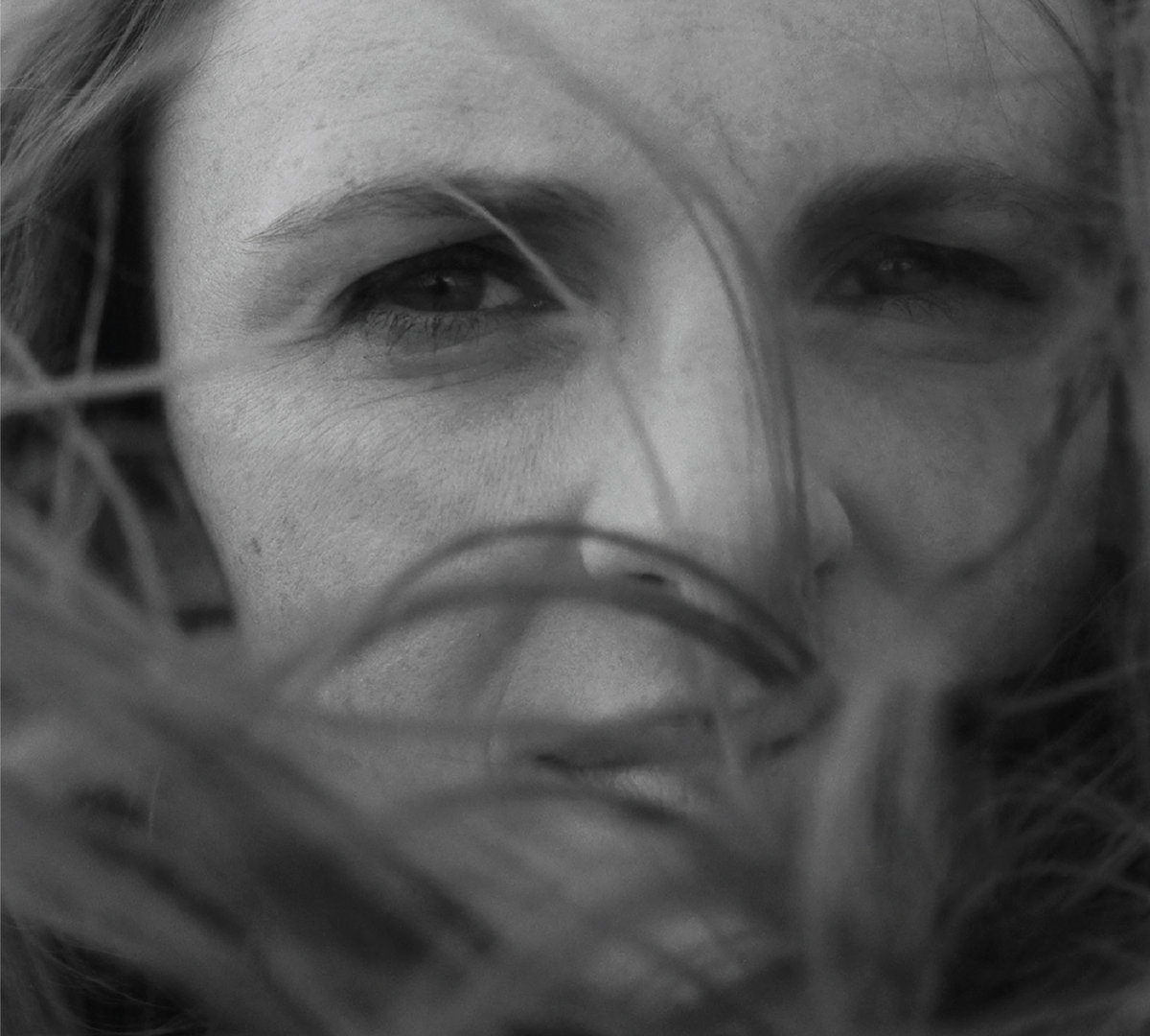 The Darkness and the Sun | Debra Fotheringham