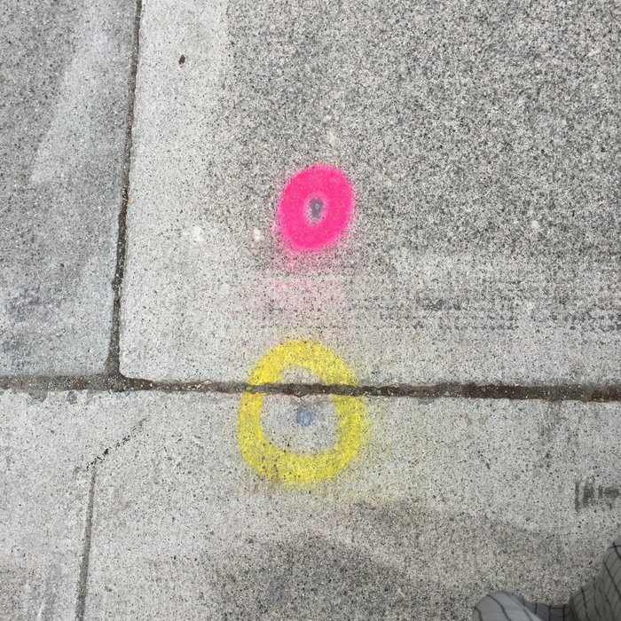 Signals | Searching For The Name