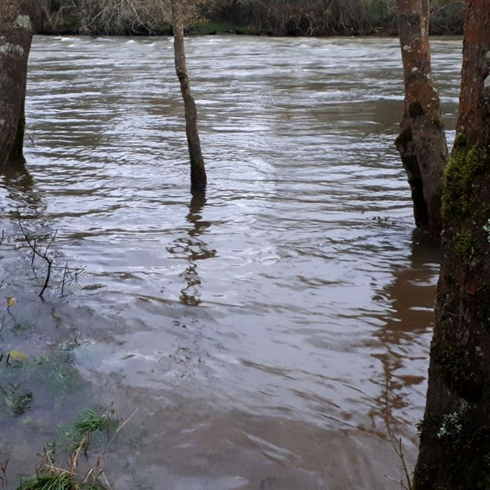 Río Narcea a su paso por Cornellana. Salas | Tomás BS | Mapa Sonoru