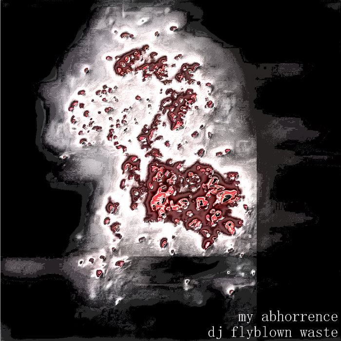 my abhorrence | dj flyblown waste