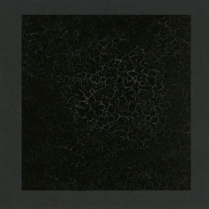 the one who modifies Time and Light | Matthew Swiezynski | invisible birds