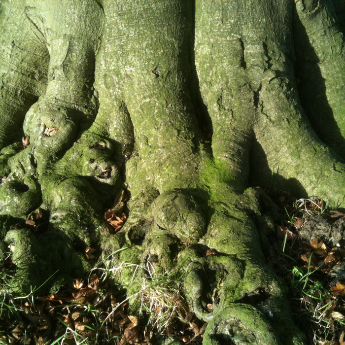 Forest Head Volume One | STOP THE CITY