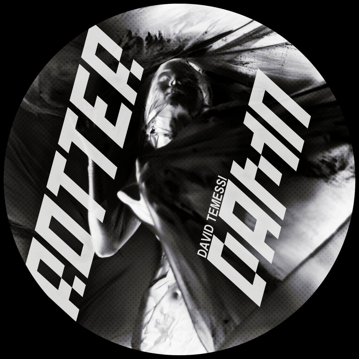 Rotter Damn | David Temessi | DSR Digital