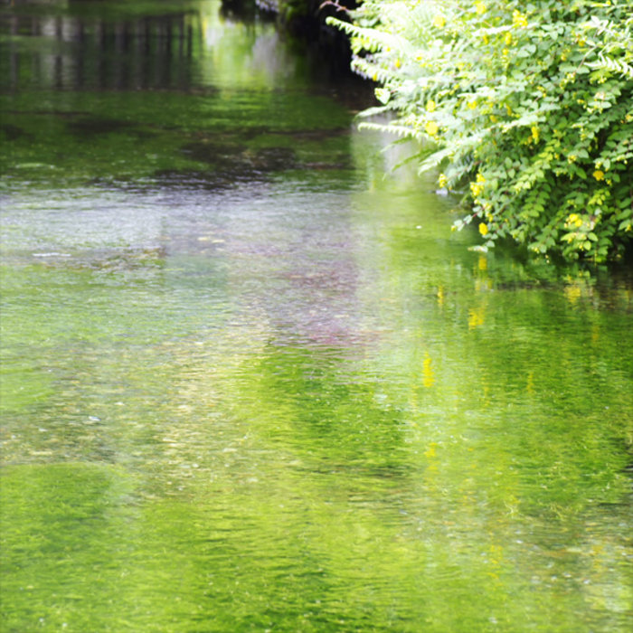 湧水の流れ - Flow of spring water - | comp & sax : uzu | uzu