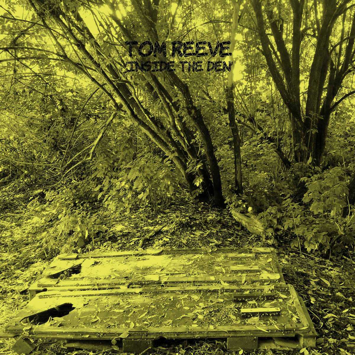 Inside The Den | Tom Reeve