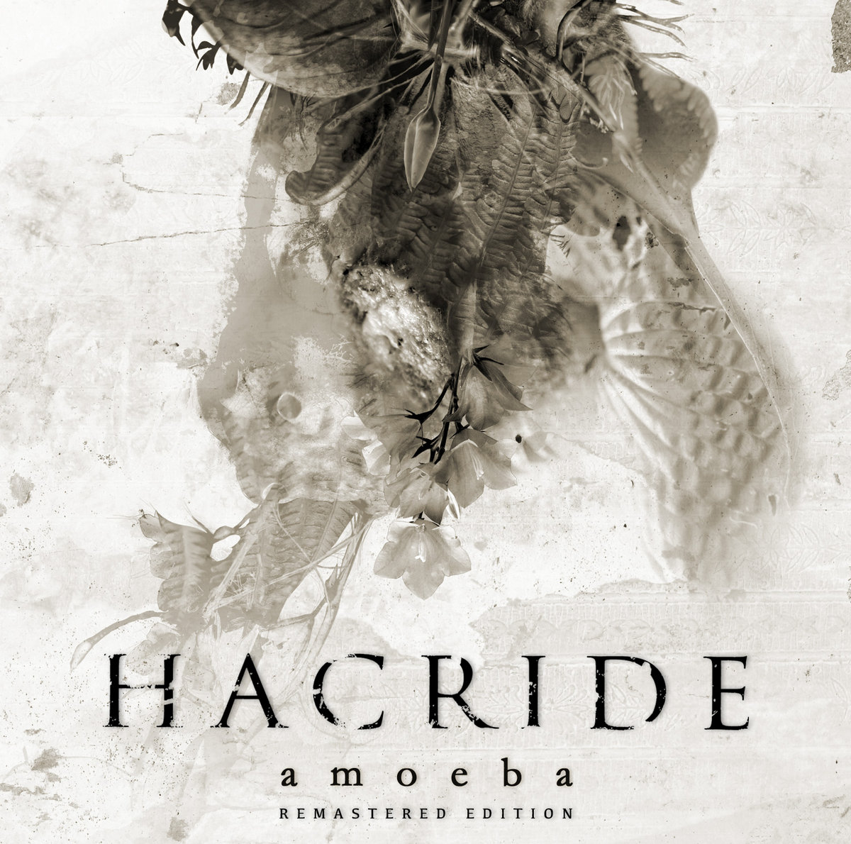 Amoeba - Remastered Edition | HACRIDE