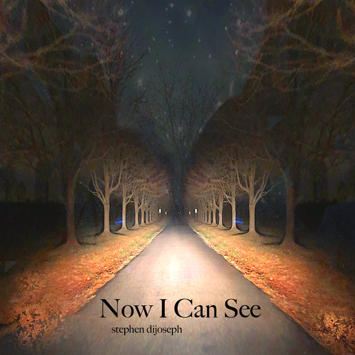 Now I Can See | stephen dijoseph | Stephen DiJoseph