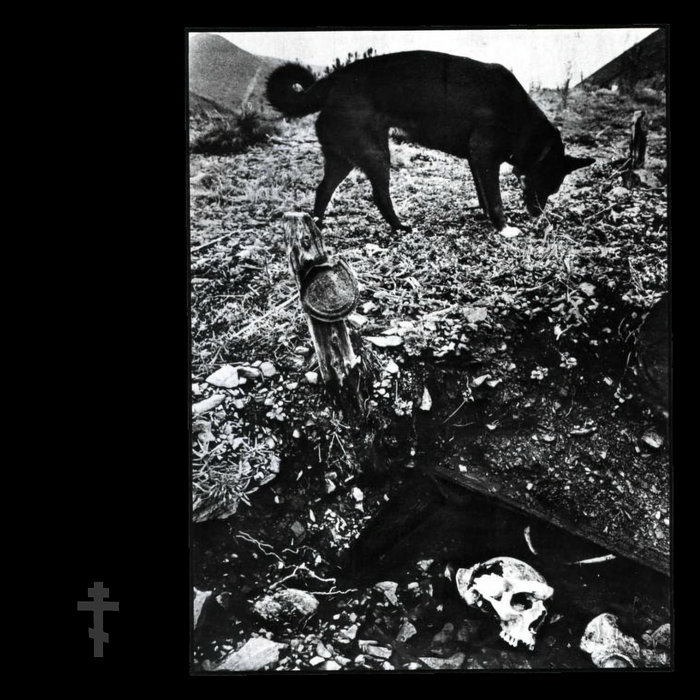 Paradisal Nostalgia | Scattered Castles