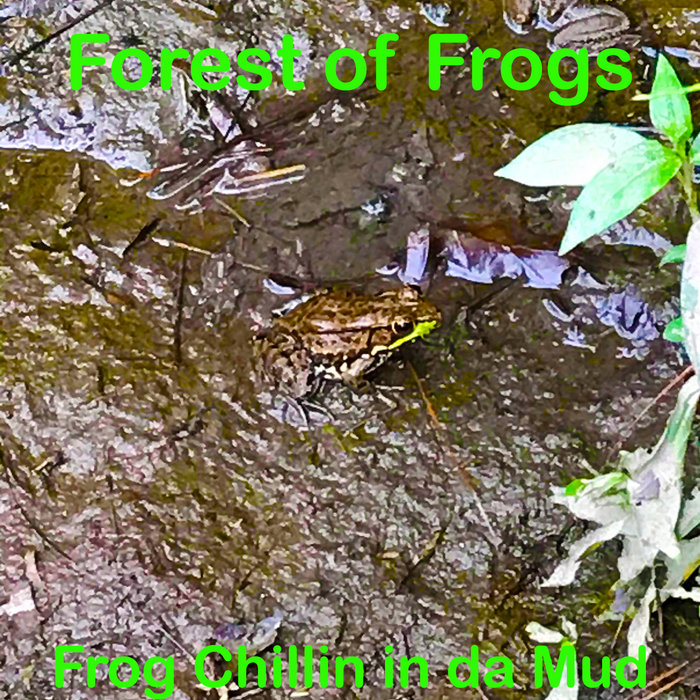 Frog Chillin in da Mud | Forest of Frogs