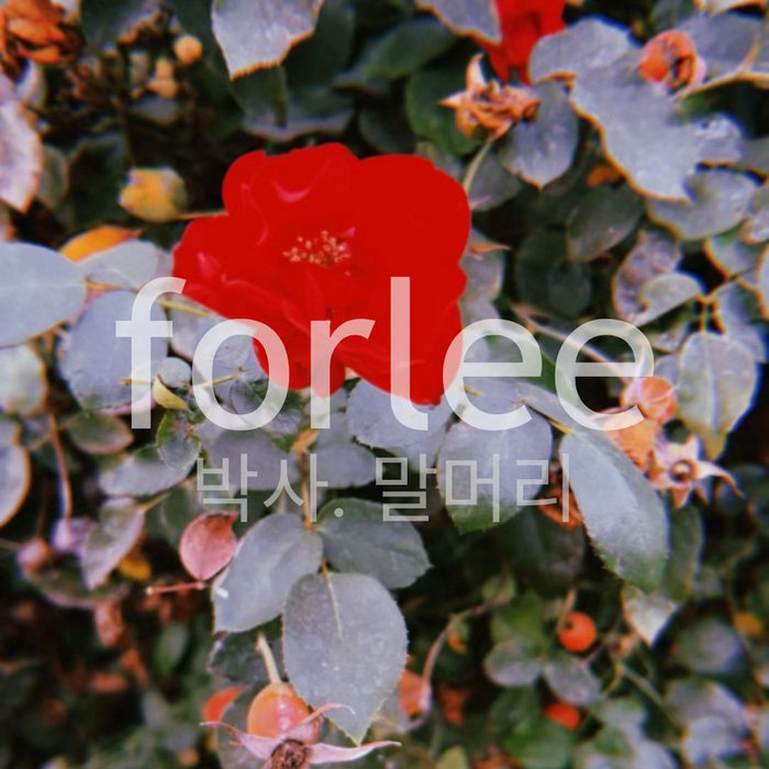 forlee | Dr. Horsehead