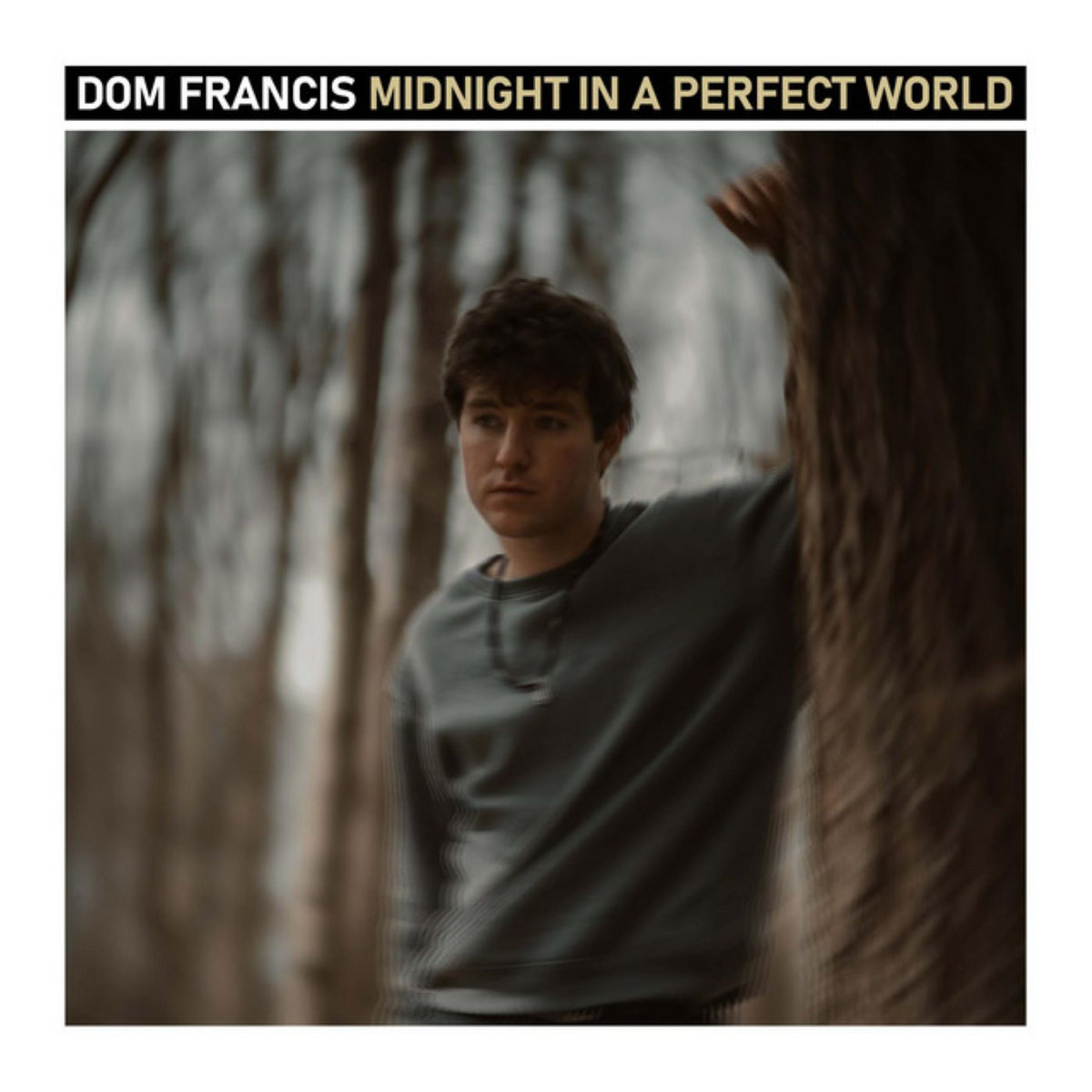 Midnight in A Perfect World | Dom Francis