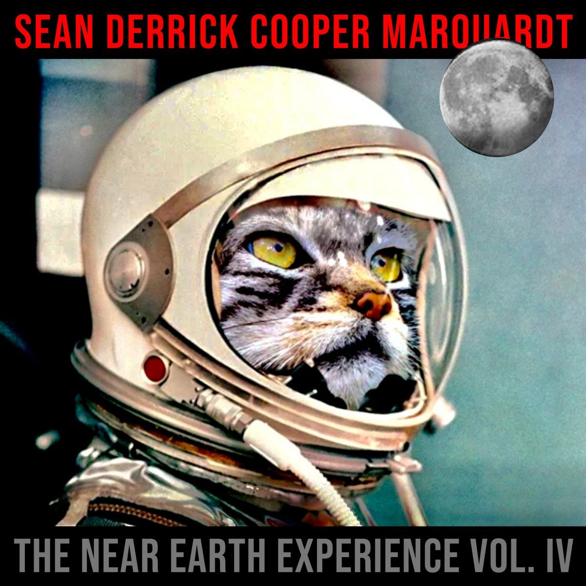 The Near Earth Experience Vol. IV | Sean Derrick Cooper Marquardt