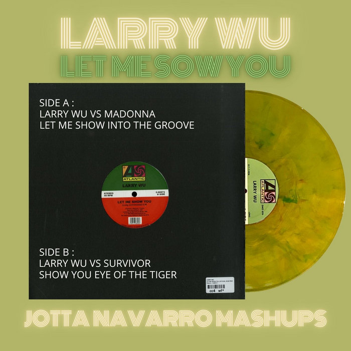 Madonna vs. Larry Wu - Let Me Show Into The Groove (Jotta Navarro ...