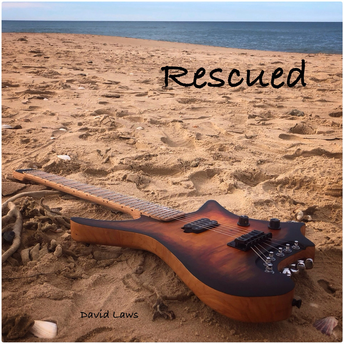 Rescued | David Laws