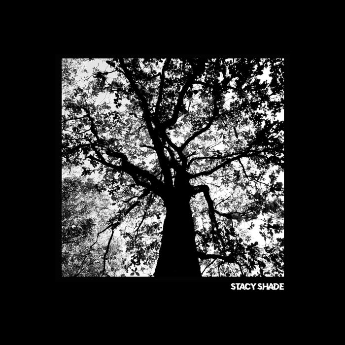 Stacy Shade | Stacy Shade