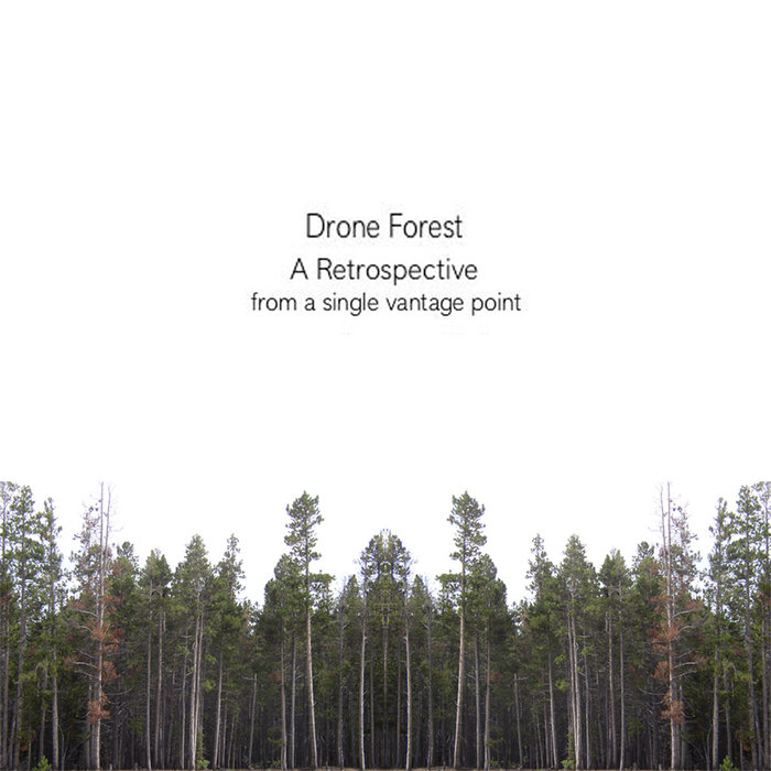 A Retrospective (from a single vantage point) | Drone Forest