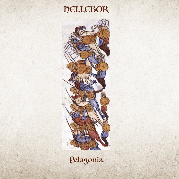 Pelagonia | Hellebor
