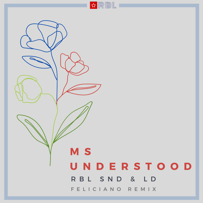 Ms Understood | RBL SND & LD | Frankie Feliciano-Ricanstruction Brand