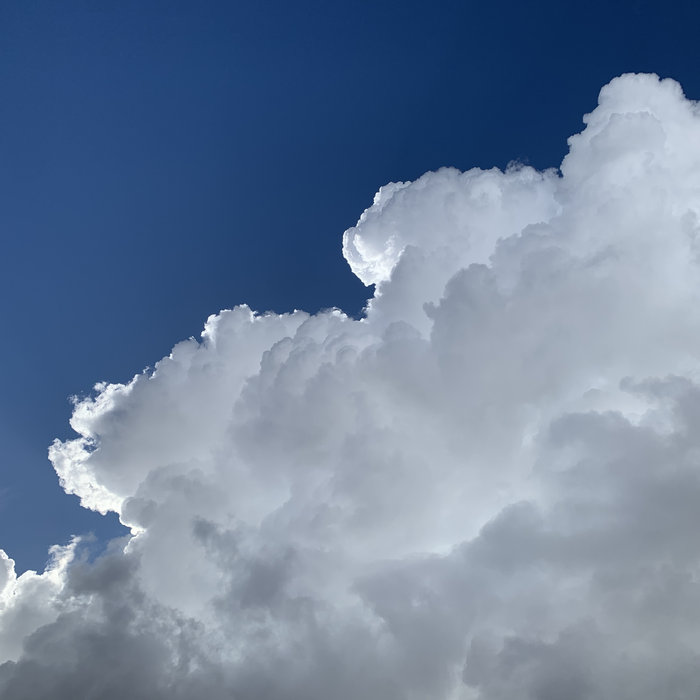 Clouds at the Park | Kris Kirk