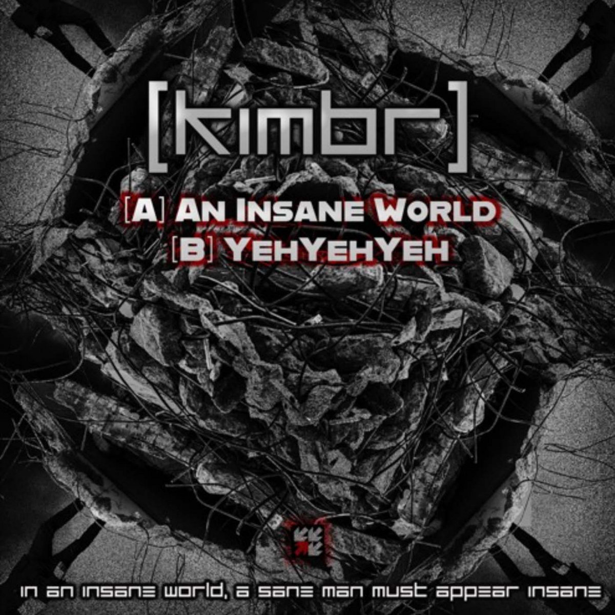 An Insane World | Kimbr