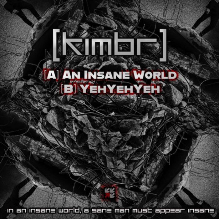 An Insane World | Kimbr