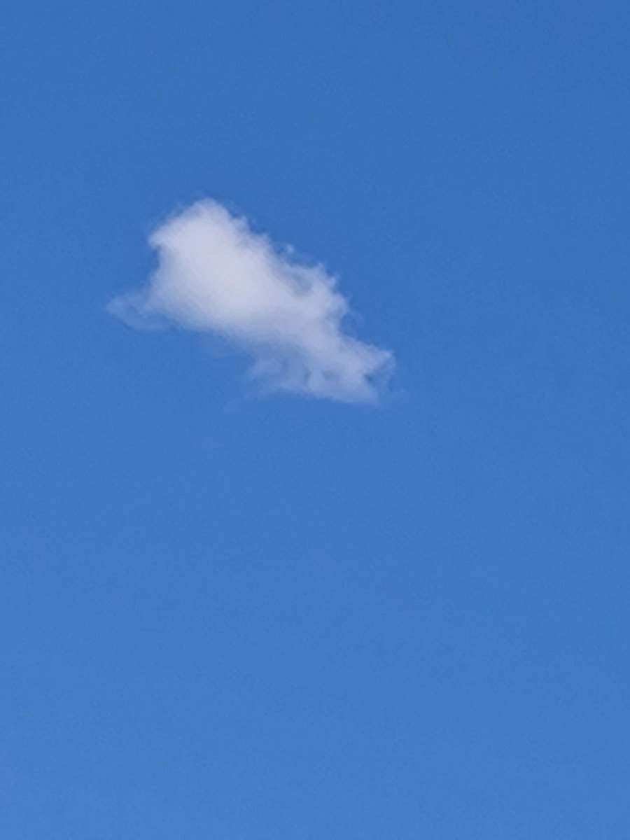 Max Solomon Compositions | Max Solomon