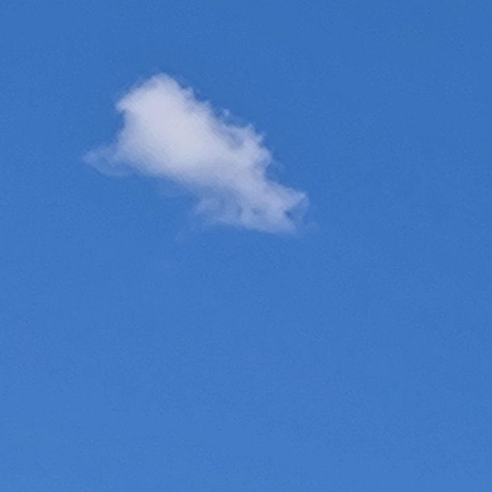 Max Solomon Compositions | Max Solomon