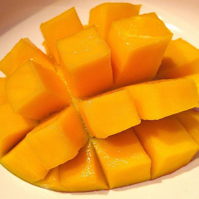 50 Feet From A Mango Tree | Stephen Foster & Howler