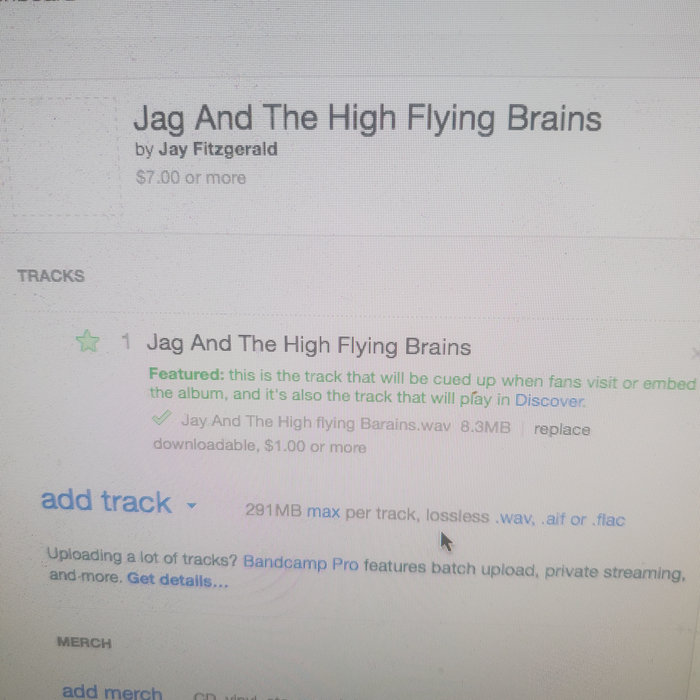 Jag And The High Flying Brains | Jay Fitzgerald