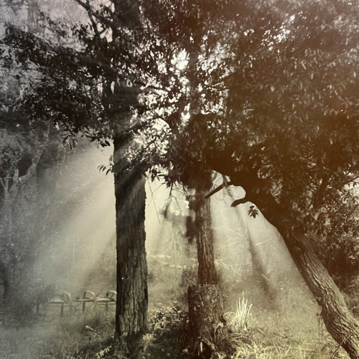 Silent Things | Cliff Lloyd | Hammered Gold Records