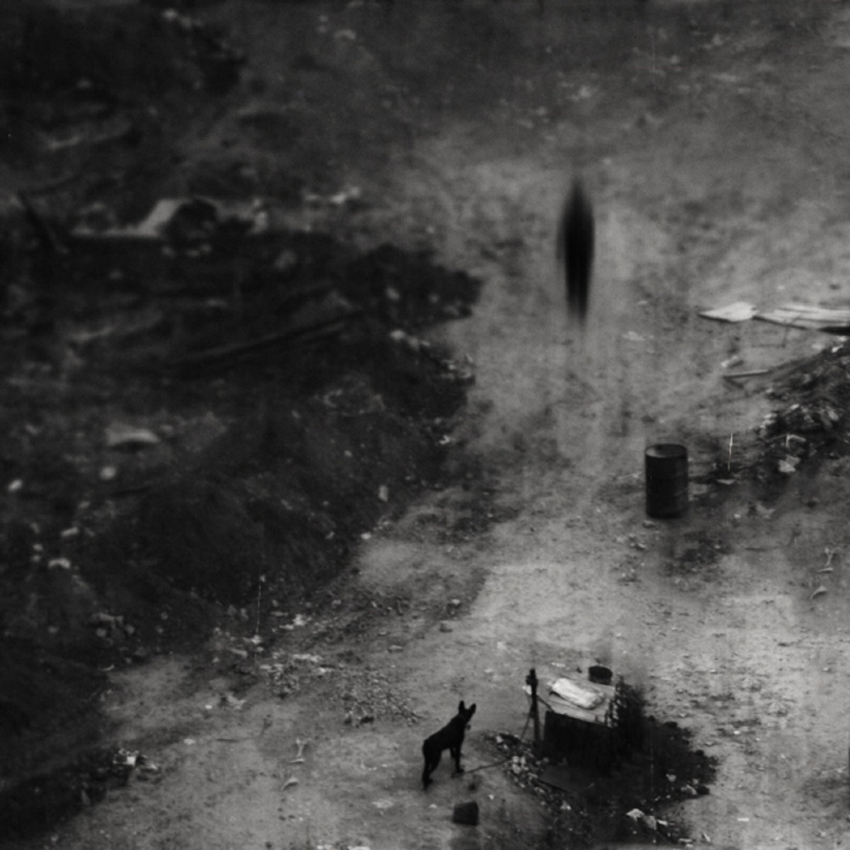 Seven Miles | Mike Braudrick