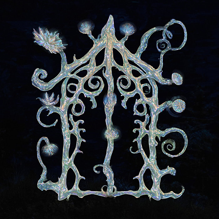 Constellation | Lucidvox
