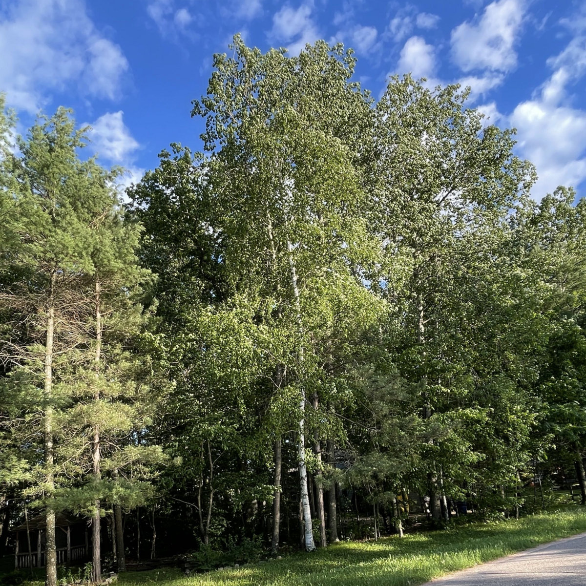 Secret Holy Crap Room | The Red is Already Consuming Us | Don't Trust ...