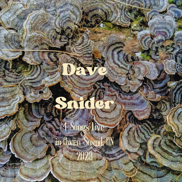 4 Songs Live | Dave Snider | OwnSound Recordings