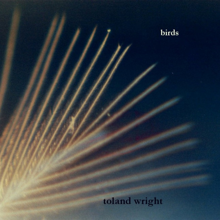 birds | Toland Wright