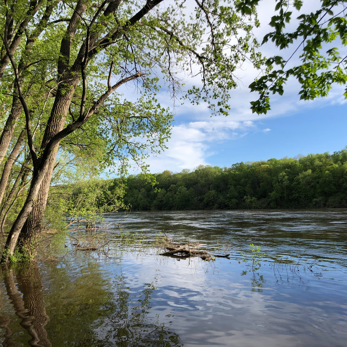 Zero | Citizen Scientist