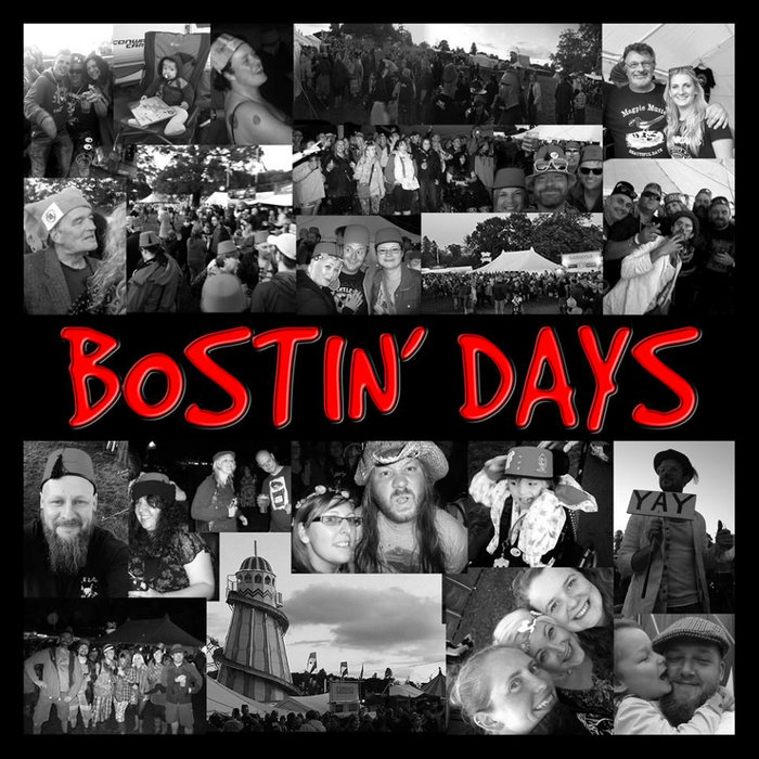 Bostin' Days: A Tribute To The Levellers | Various Artists | Bostin' Days