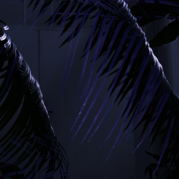 Slow Vein | Hegira Moya | Moloton