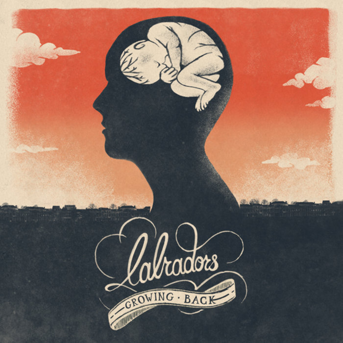 Growing Back | Labradors