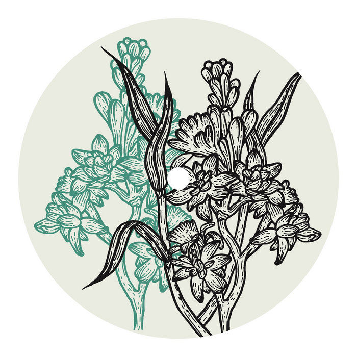 Stately Records | Linktree