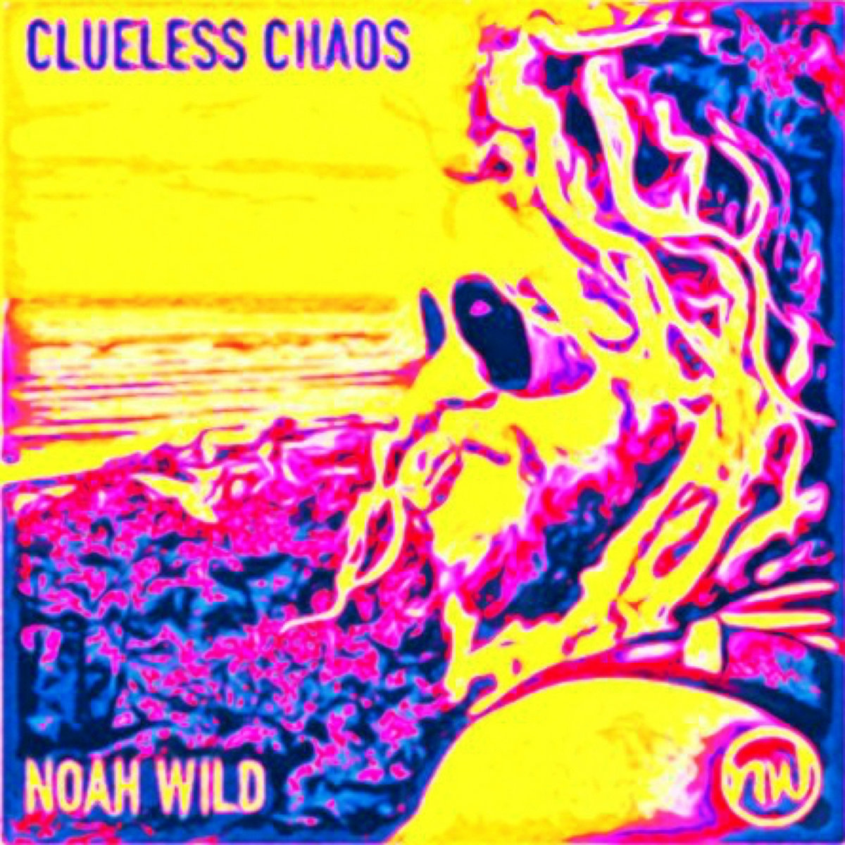 Clueless Chaos | Noah Wild