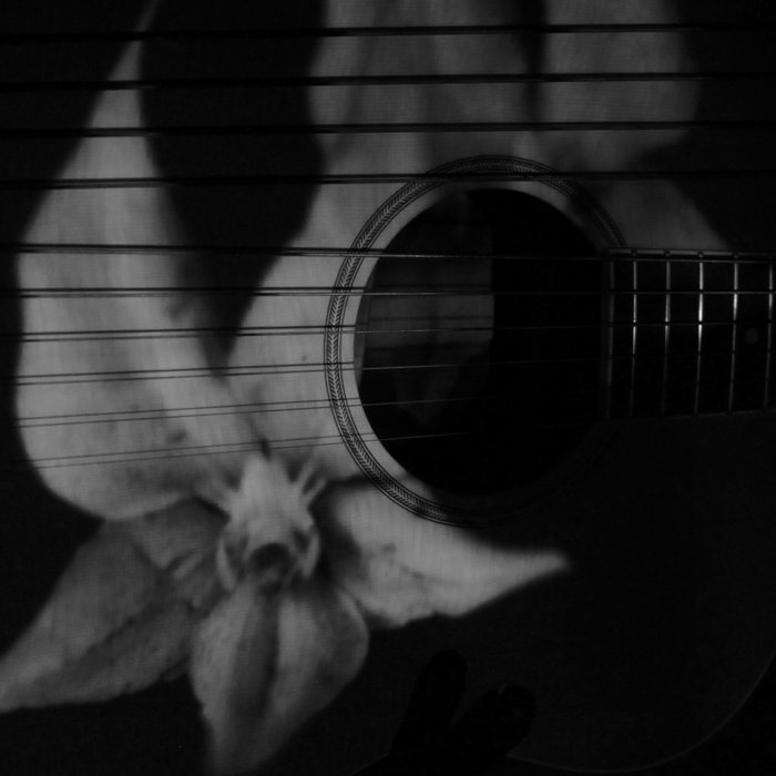 Acoustic Ambient Improvs (1-10) | Ryan Lutton